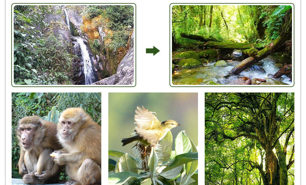 Yunnan Luxury 5-Day Tour: Tengchong & Mangshi (1 Night at Stone House ...